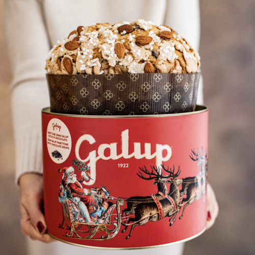 Galup® | Store Ufficiale