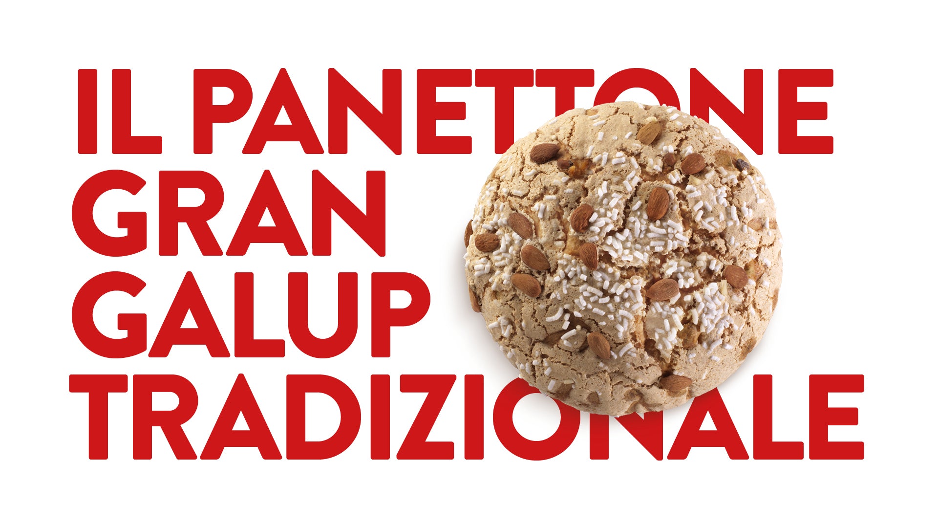 Galup® | Store Ufficiale