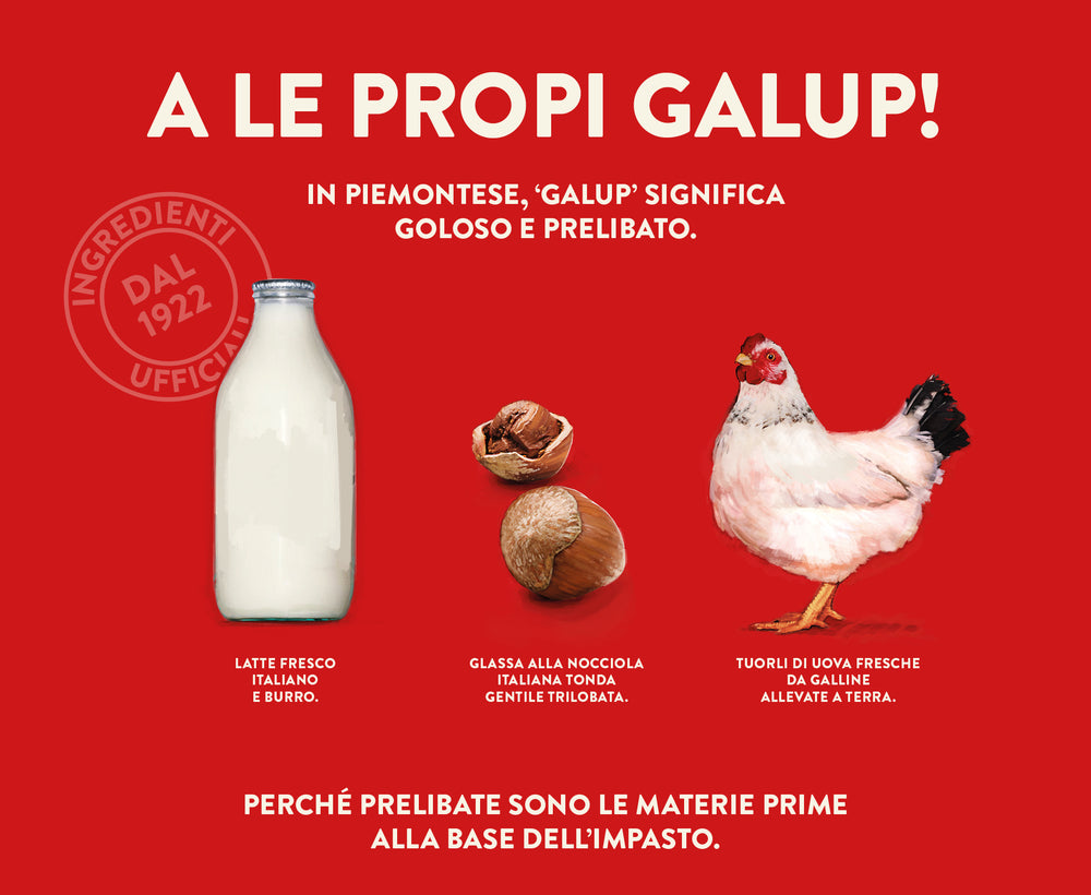 Galup® | Official Store