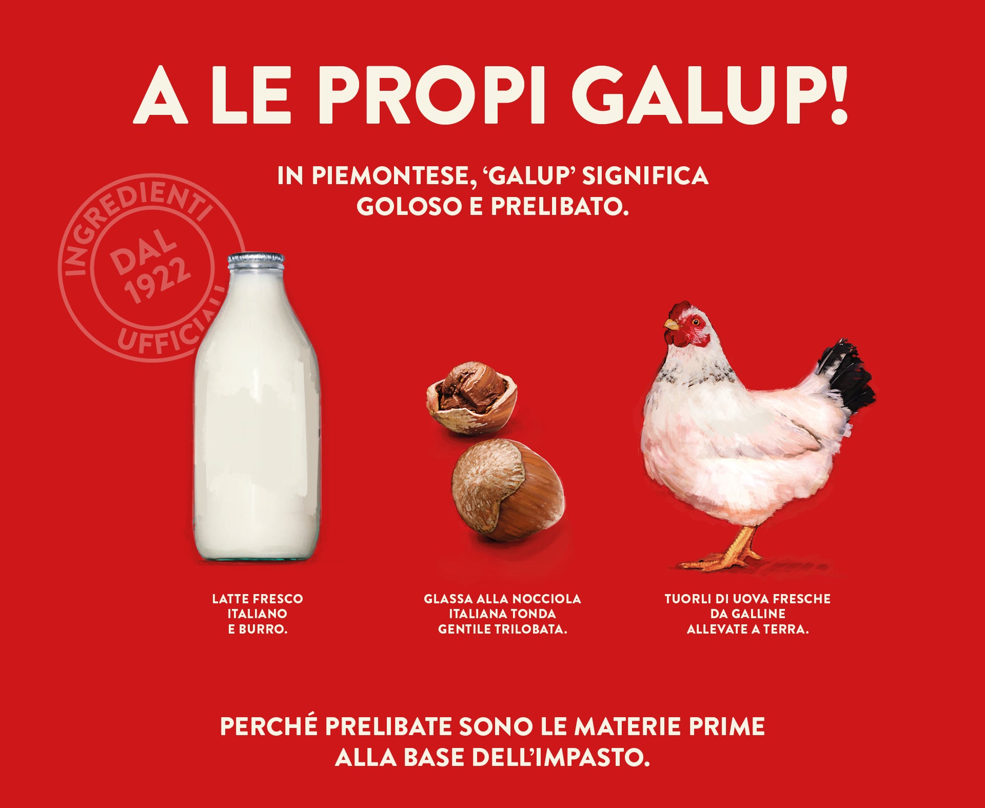 Galup® | Official Store