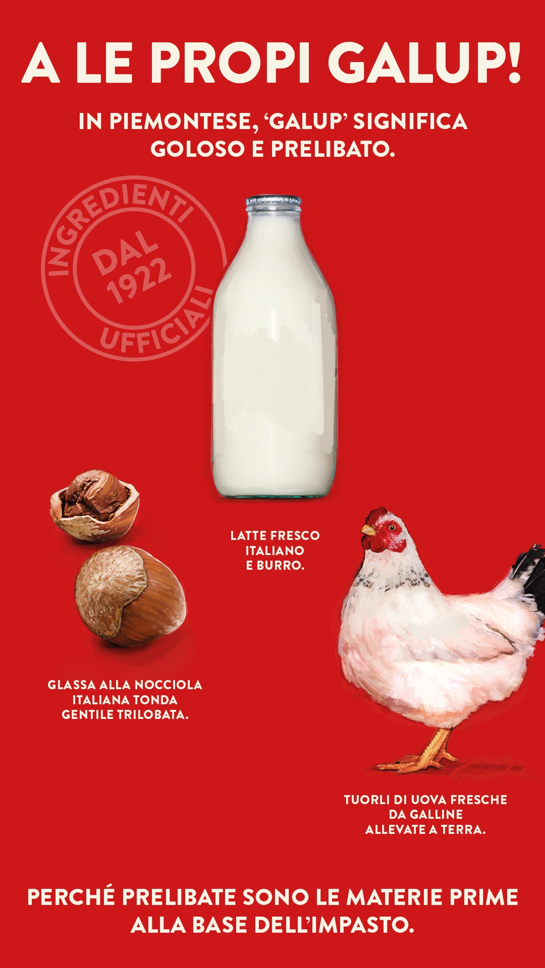 Galup® | Official Store