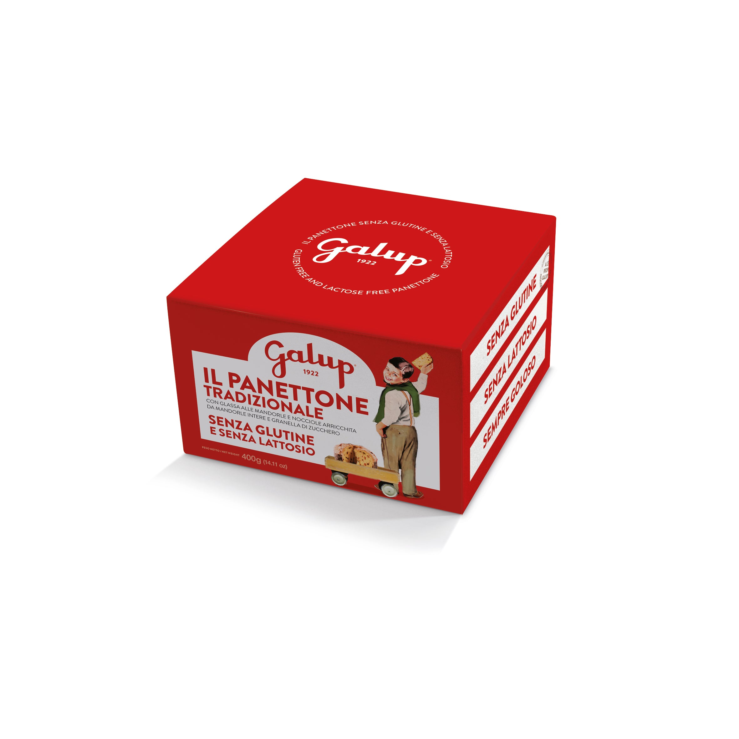 Panettone Gran Galup Traditional 400g GLUTEN FREE – Galup® Store Ufficiale